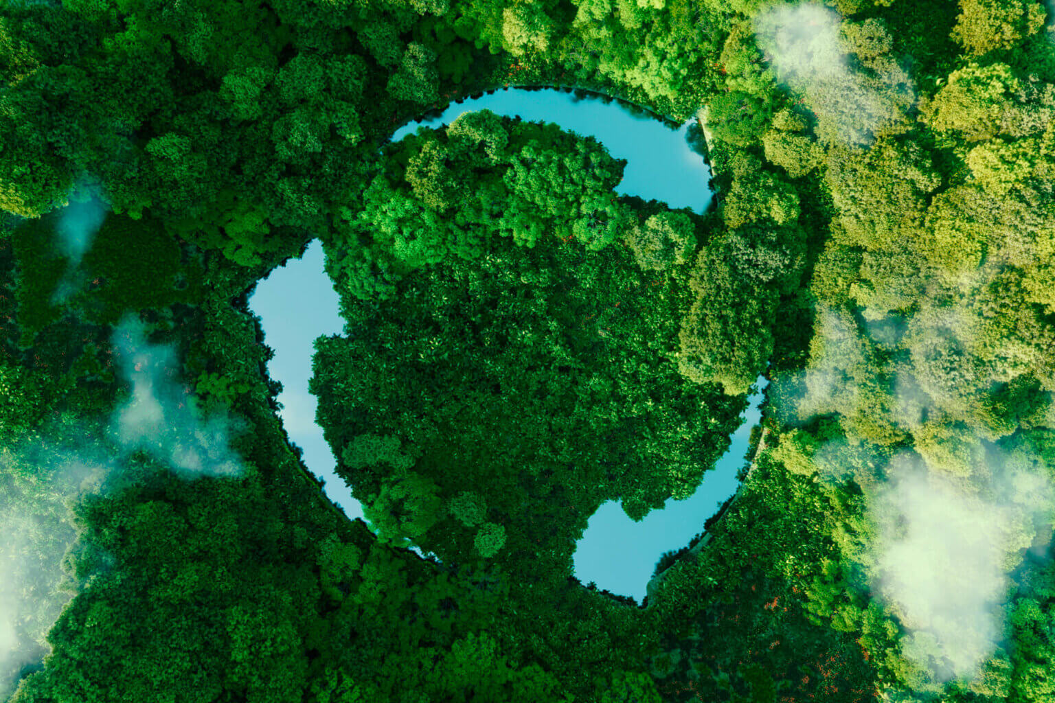 Sustainable Functional Labels for the Pharma Industry - Schreiner Group ...